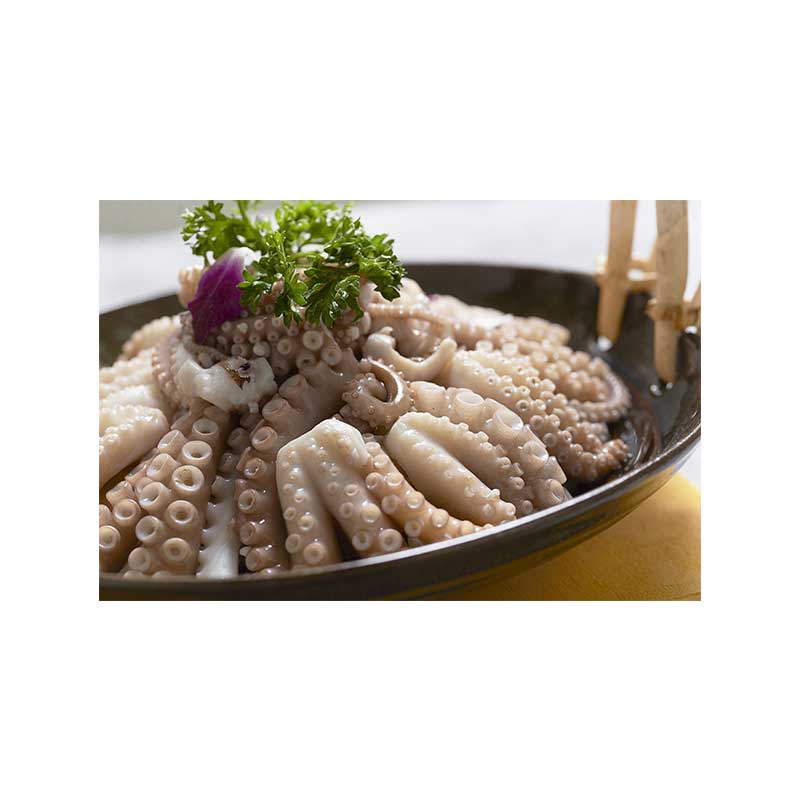 Octopus – Litofish