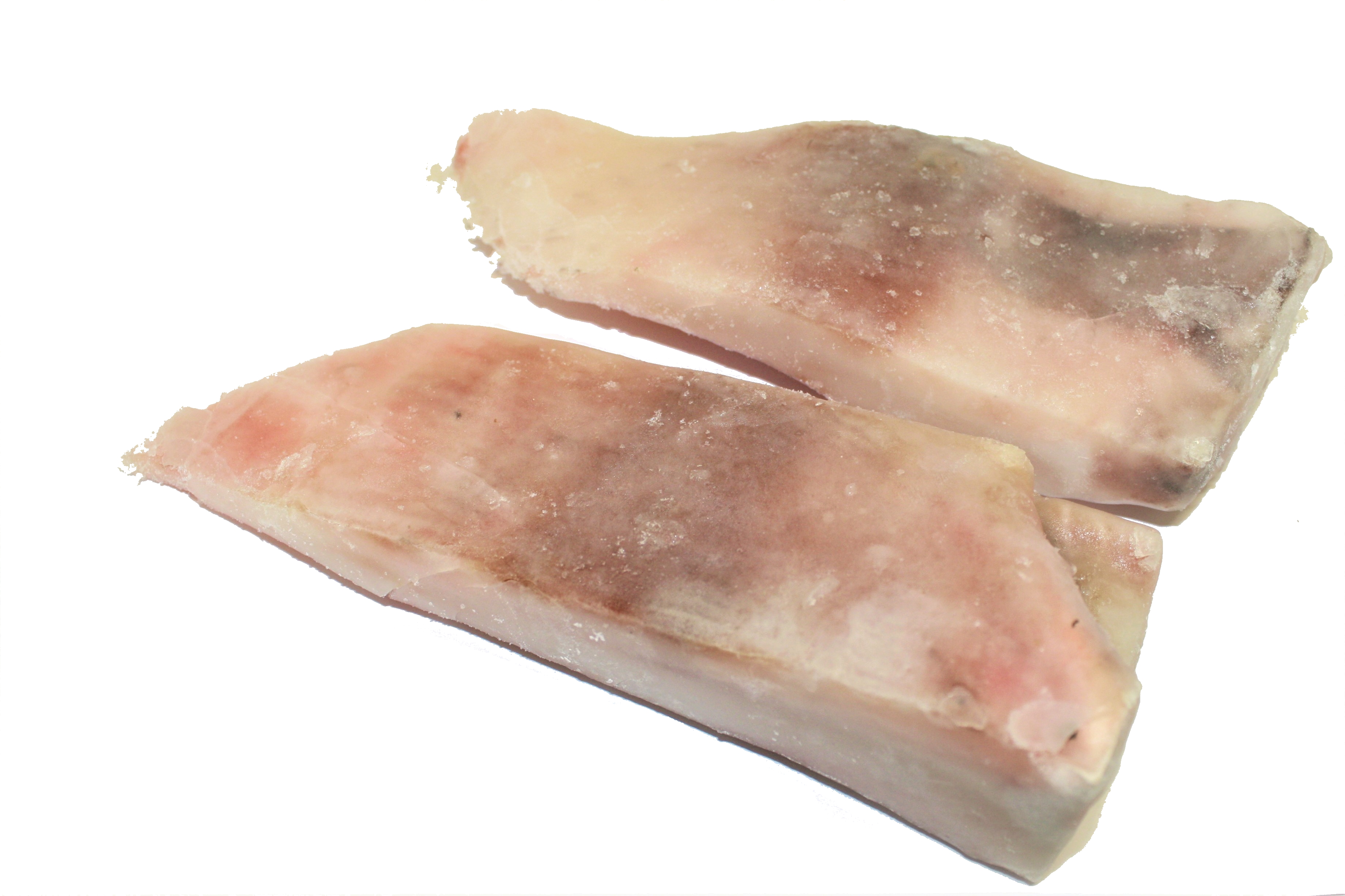 Raia sem pele – Litofish