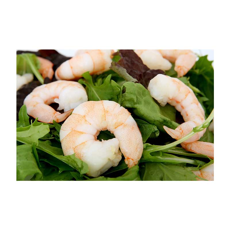 Miolo de camarão – Litofish